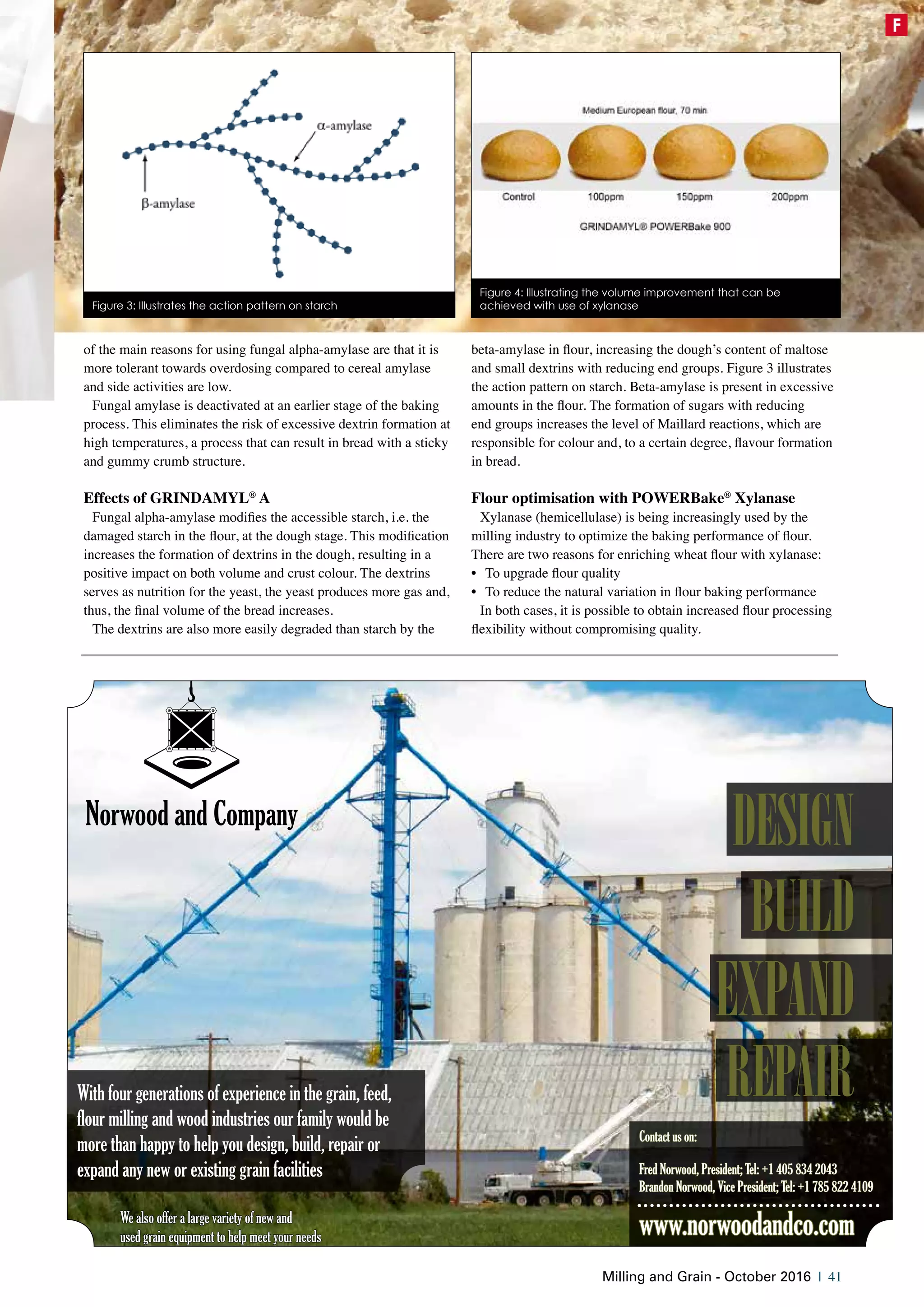 ENZYMATIC FLOUR STANDARDISATION | PDF