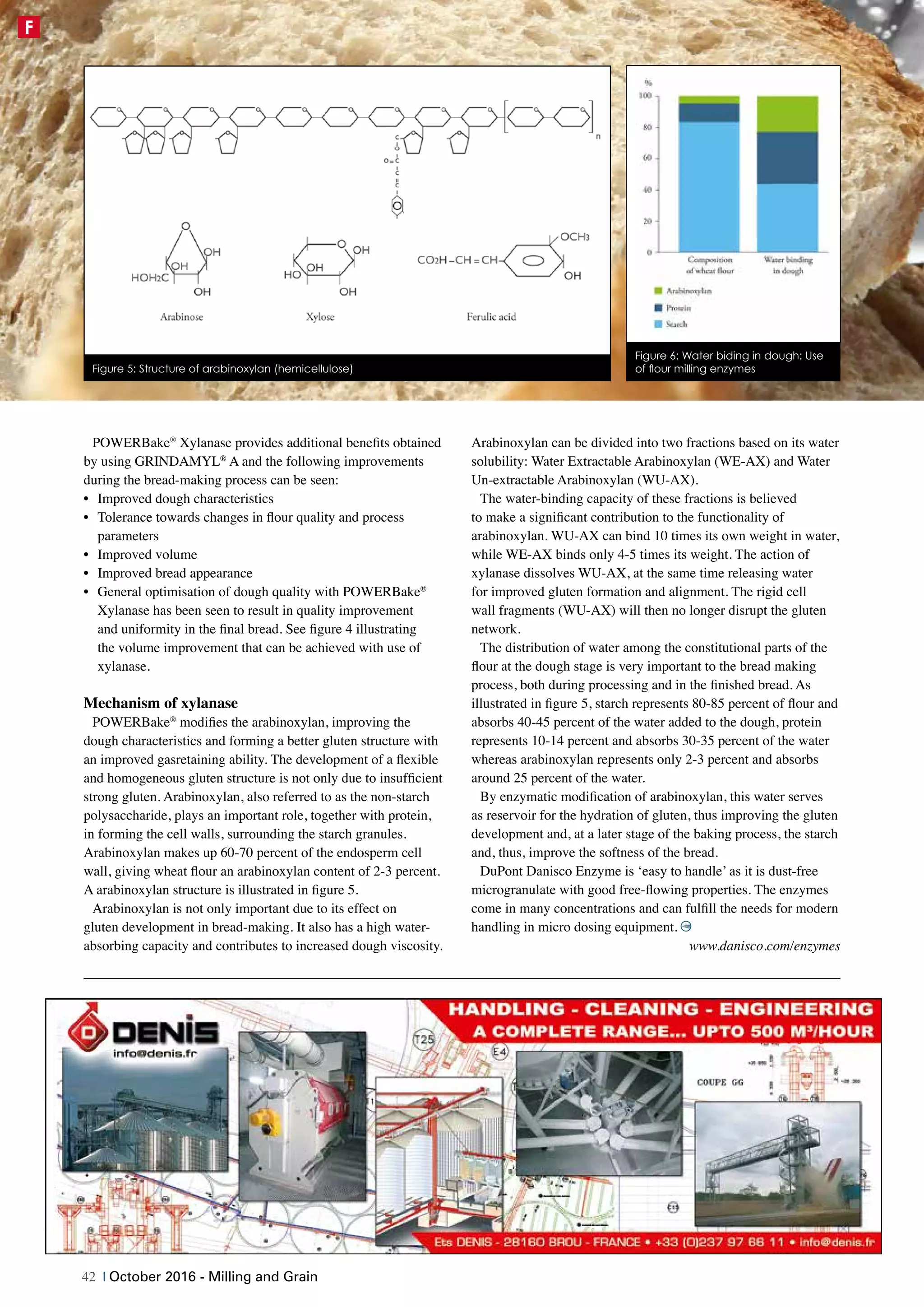 ENZYMATIC FLOUR STANDARDISATION | PDF