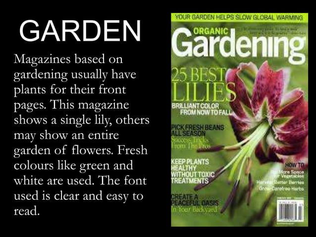 Magazine genres | PPT