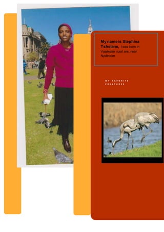 Magazine stephina | DOCX