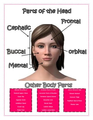 Revealed: The Human Body (Vol. I) | PDF