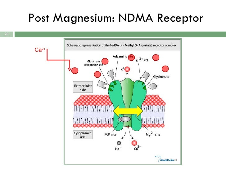 Magnesium Sulfate for Cerebral Palsy Prevention