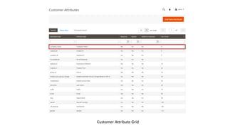 Magento 2 Customer Attributes | PPT