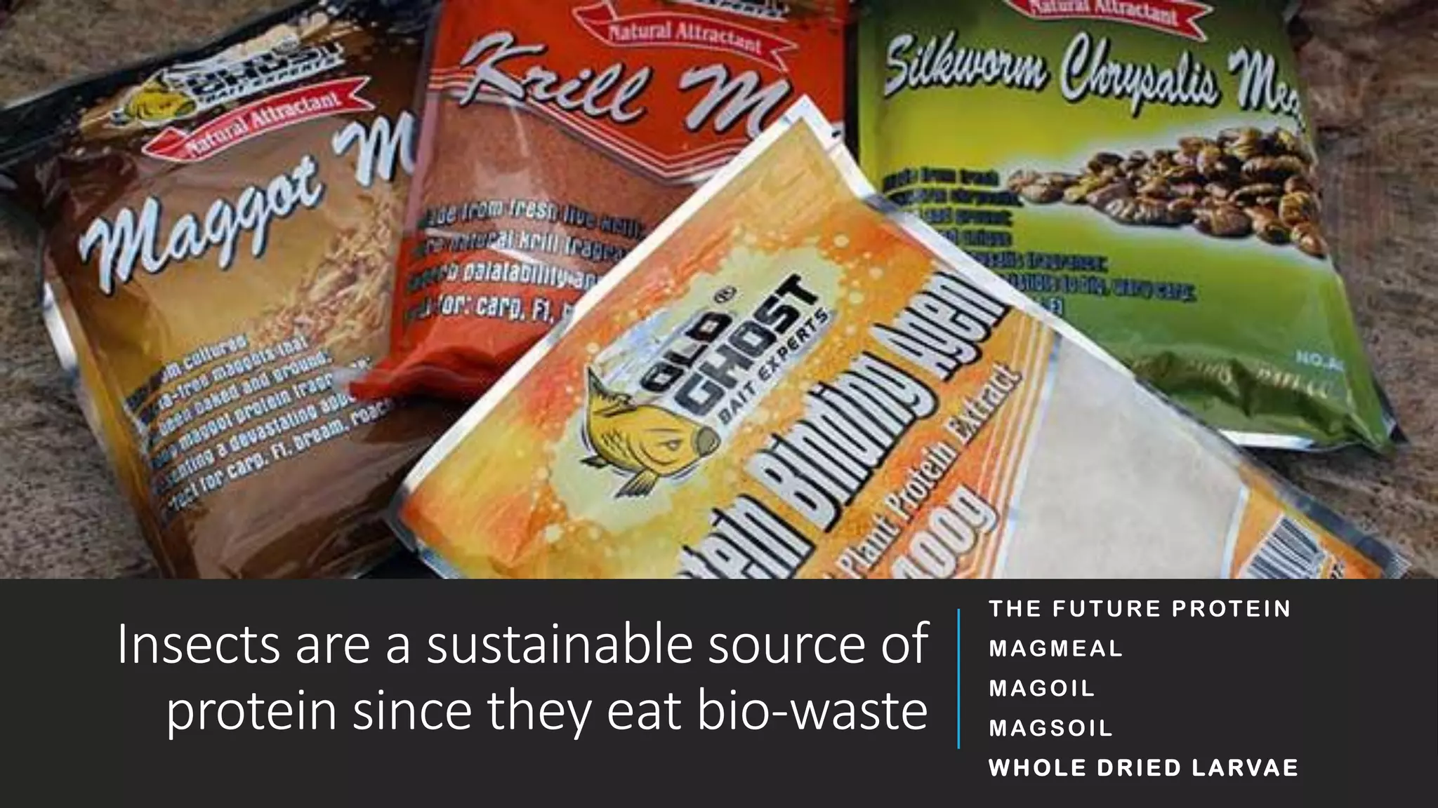 Maggot farming | PDF