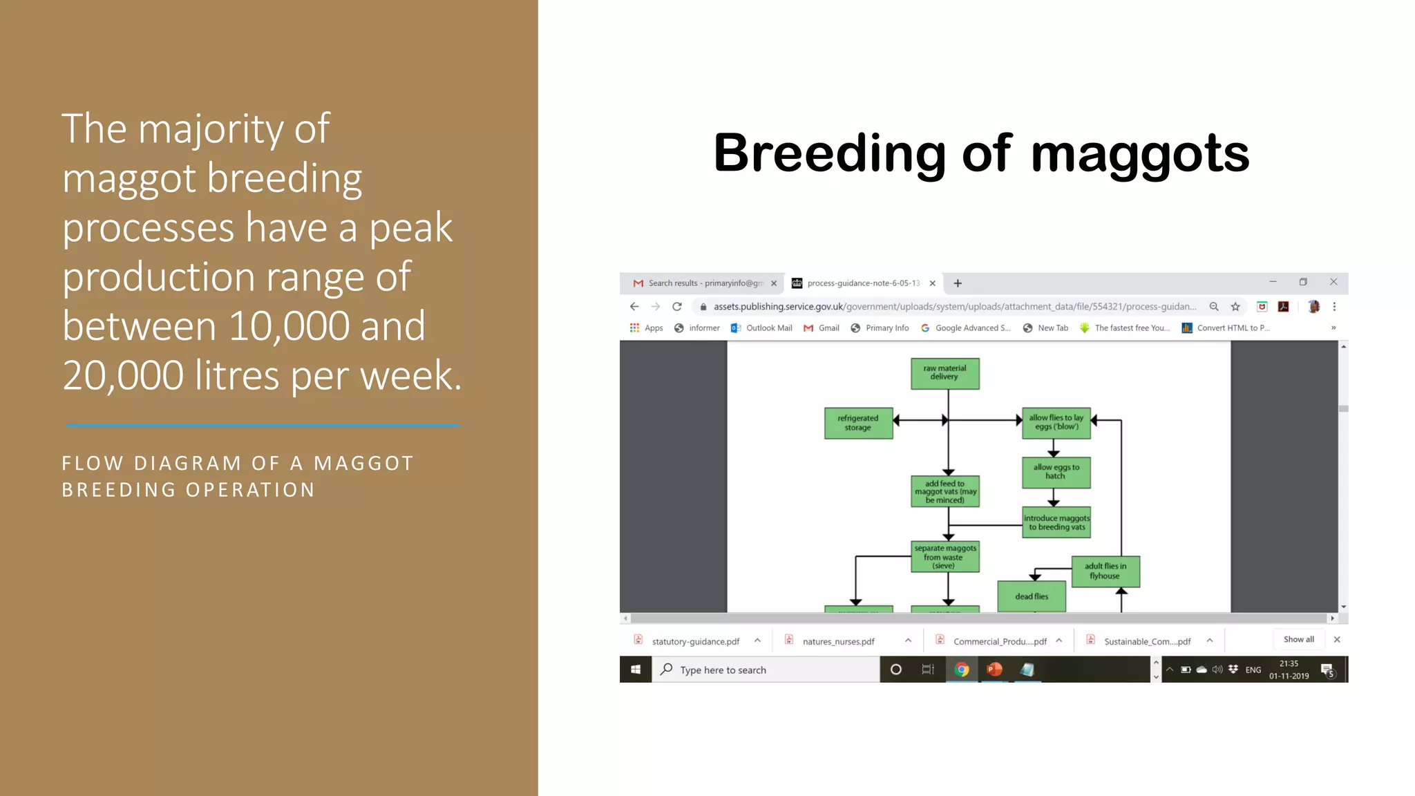 Maggot farming | PDF