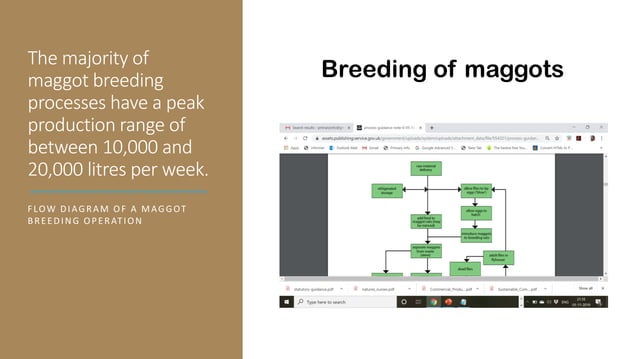 Maggot farming | PDF