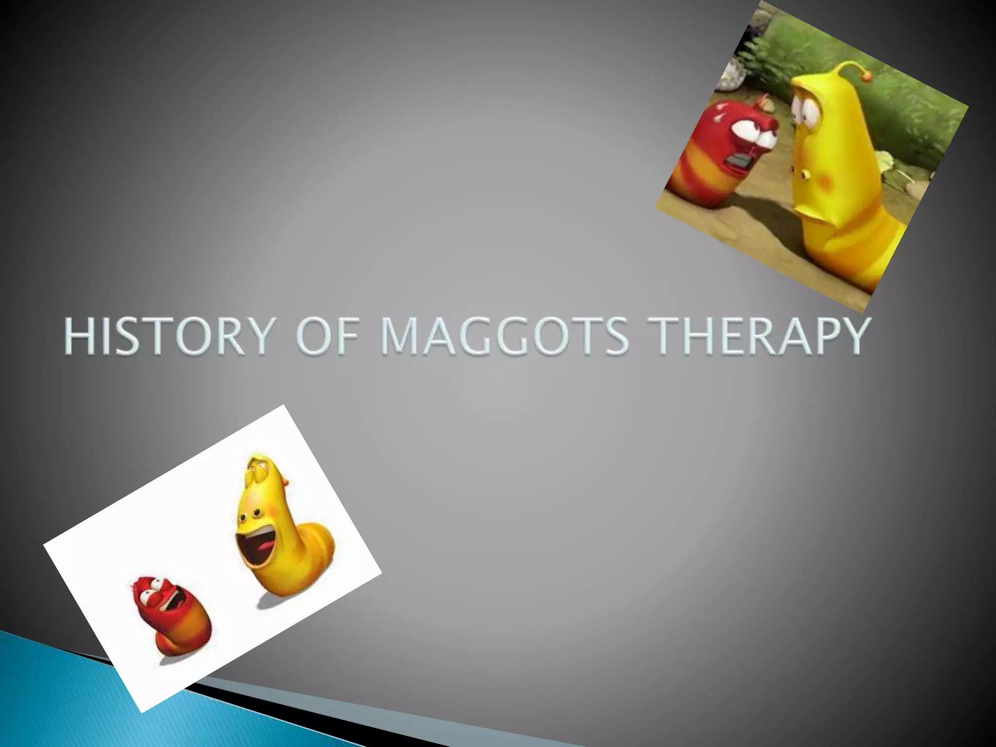 Maggots therapy | PPTX