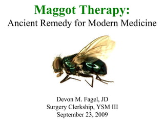 Maggot Therapy | PPTX