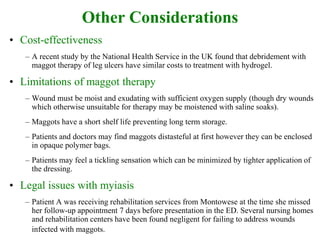 Maggot Therapy | PPTX