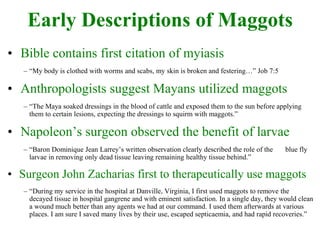 Maggot Therapy | PPTX
