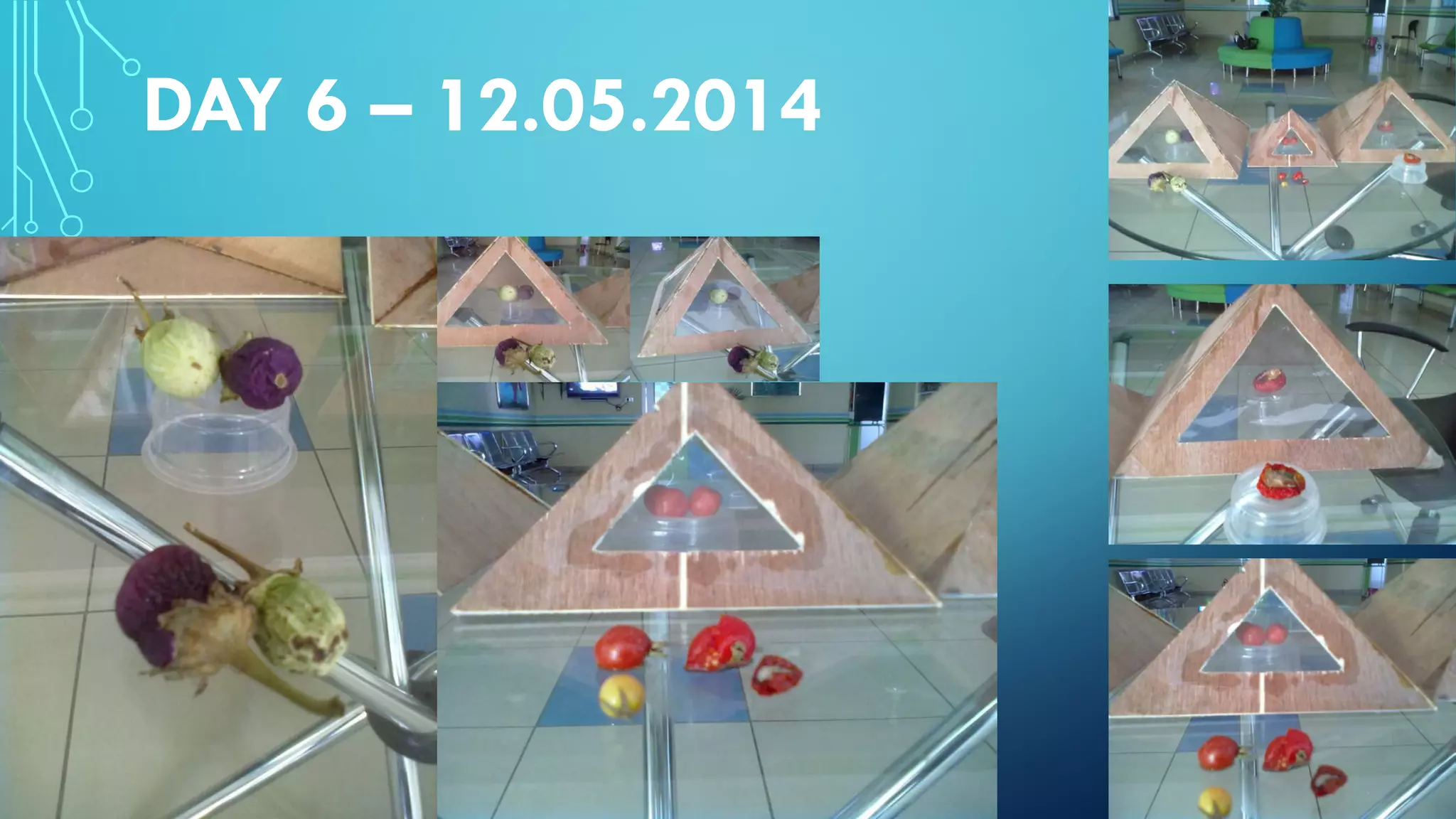 Magical power of pyramid for food preservation by Mridul Sharma | PDF | Gardening | Home & Garden