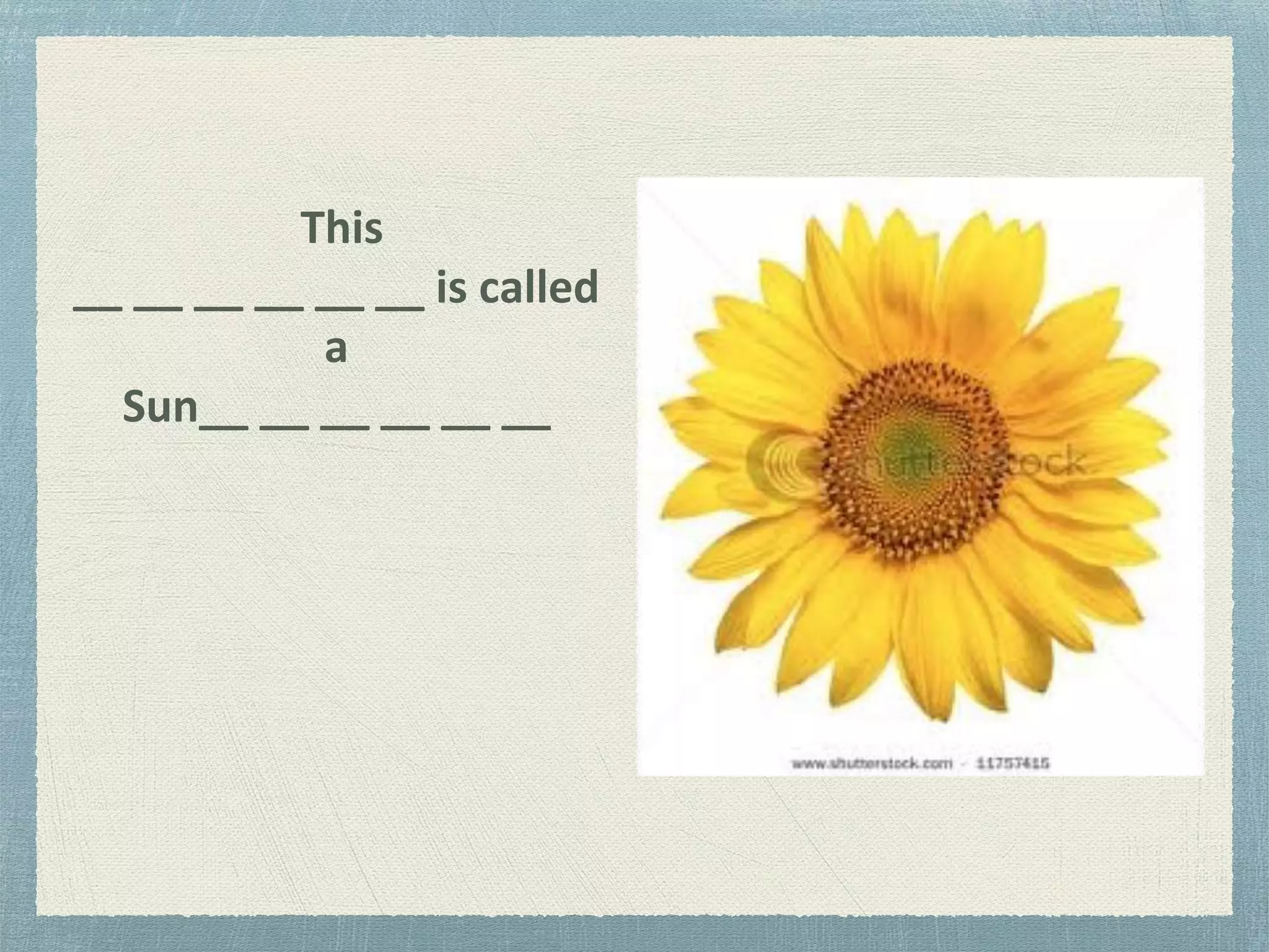 Magic Book 2 Unit 1 Pres Ppt