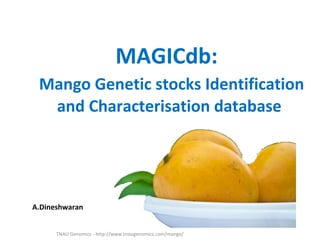 MAGICDB : Mango Genetic stocks Identification and Characterisation Data ...