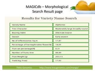 MAGICDB : Mango Genetic stocks Identification and Characterisation Data ...