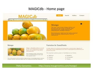 MAGICDB : Mango Genetic stocks Identification and Characterisation Data ...
