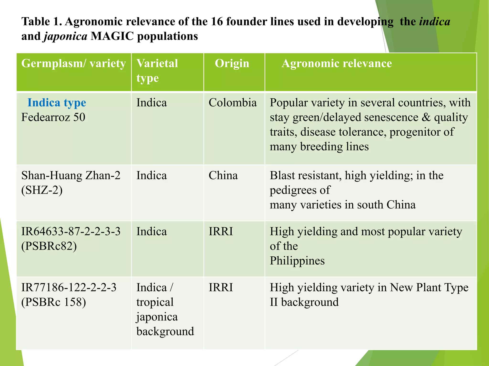 Magic population | PPTX