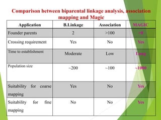 Magic population | PPTX