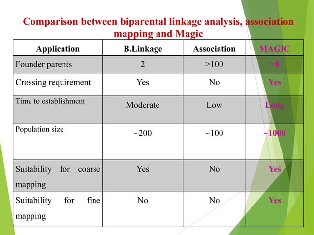 Magic population | PPTX
