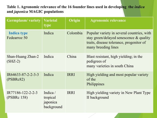 Magic population | PPTX