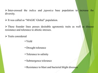 Magic population | PPTX