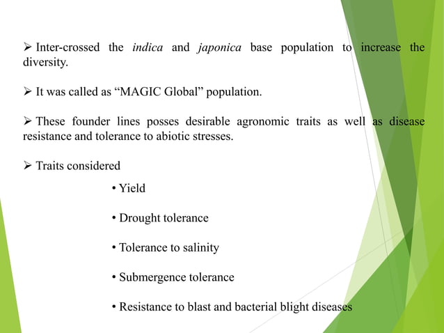 Magic population | PPTX