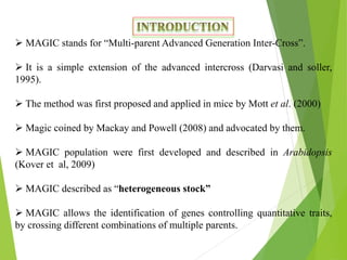 Magic population | PPTX
