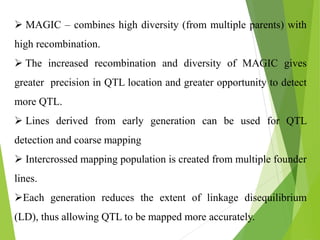 Magic population | PPTX