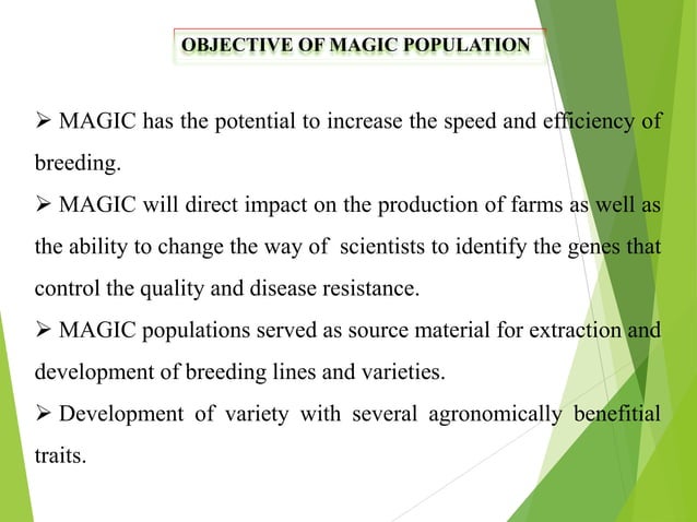 Magic Population Pptx