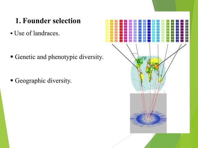 Magic population | PPTX