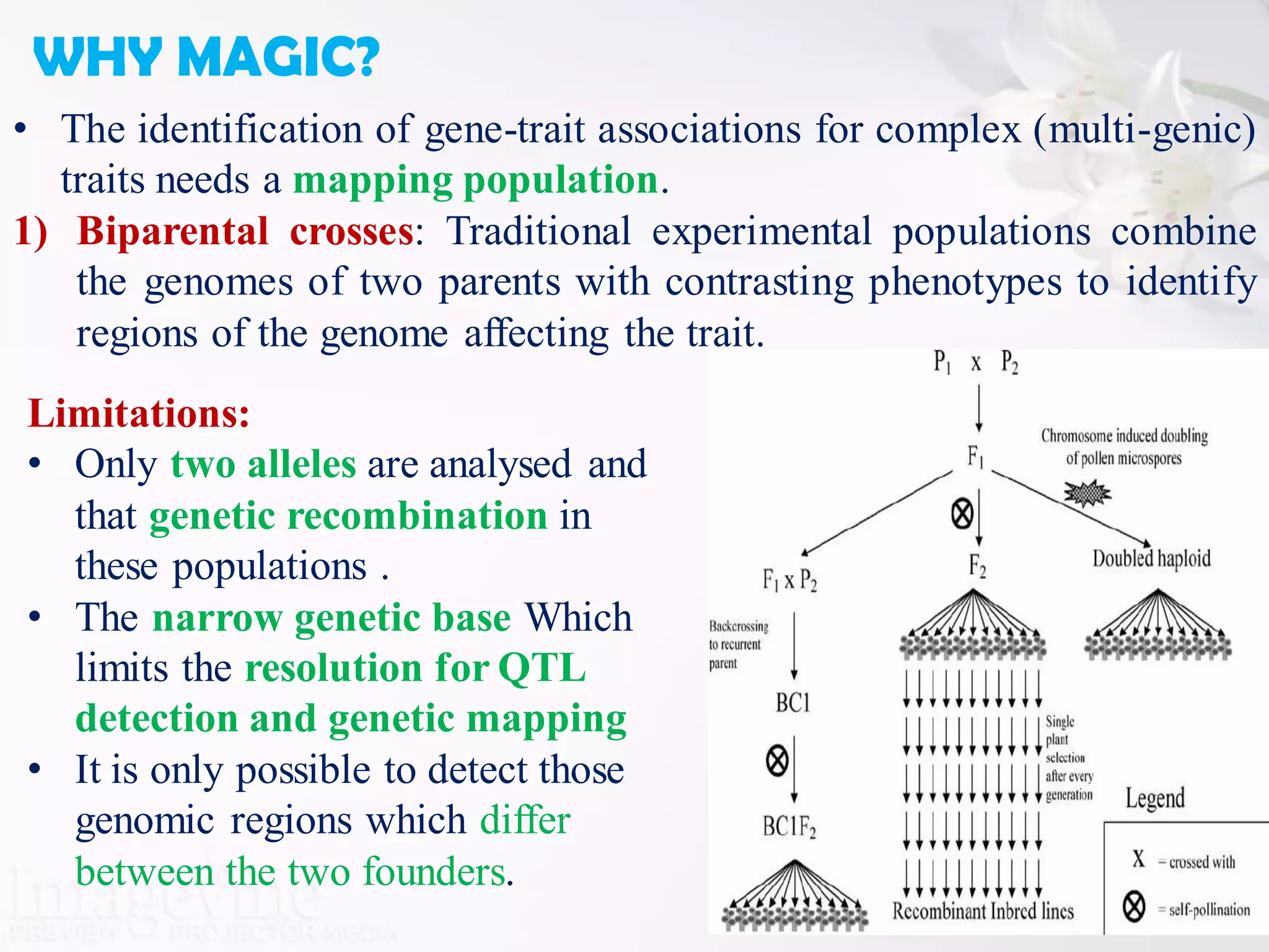 MAGIC populations and its role in crop improvement | PDF