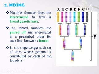 MAGIC populations and its role in crop improvement | PDF