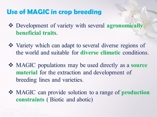 MAGIC populations and its role in crop improvement | PDF
