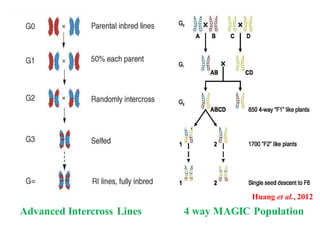 MAGIC populations and its role in crop improvement | PDF