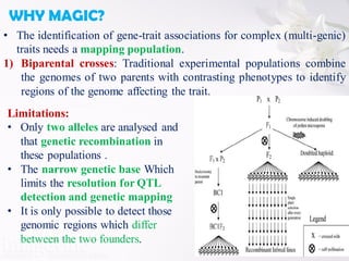 MAGIC populations and its role in crop improvement | PDF