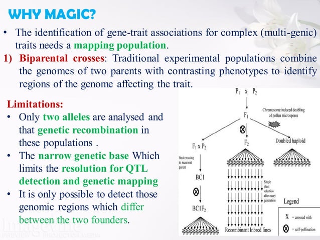 MAGIC populations and its role in crop improvement | PDF