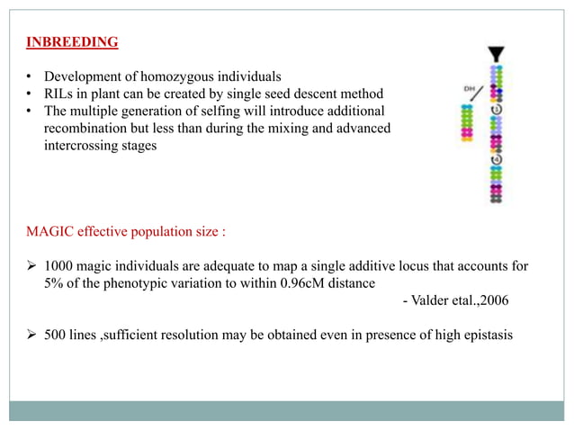 MAGIC population and its application in crop improvement | PPTX
