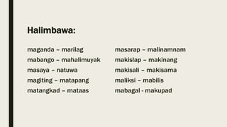 Magkasingkahulugan at magkasalungat | PPTX