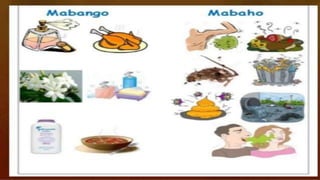 Magkasingkahulugan at magkasalungat | PPTX