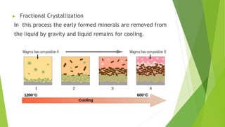 MAGMA DIVERSITY.pptx
