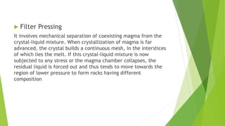MAGMA DIVERSITY.pptx