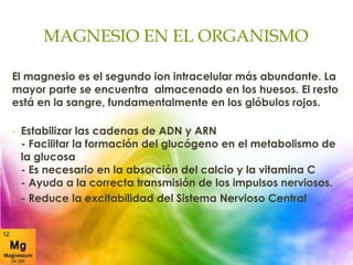 Magnesio | PPTX