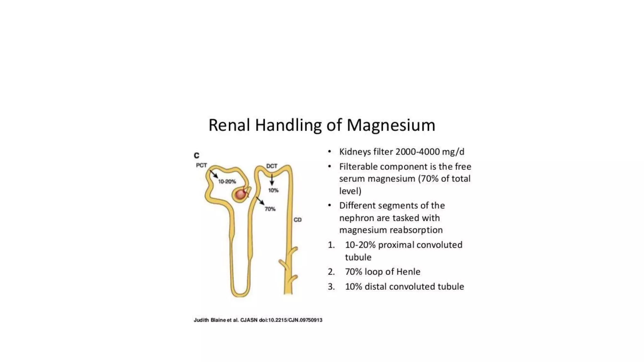 Magnesium metabolism | PPTX