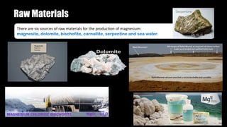 Magnesium | PDF