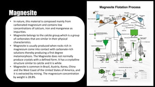 Magnesium | PDF