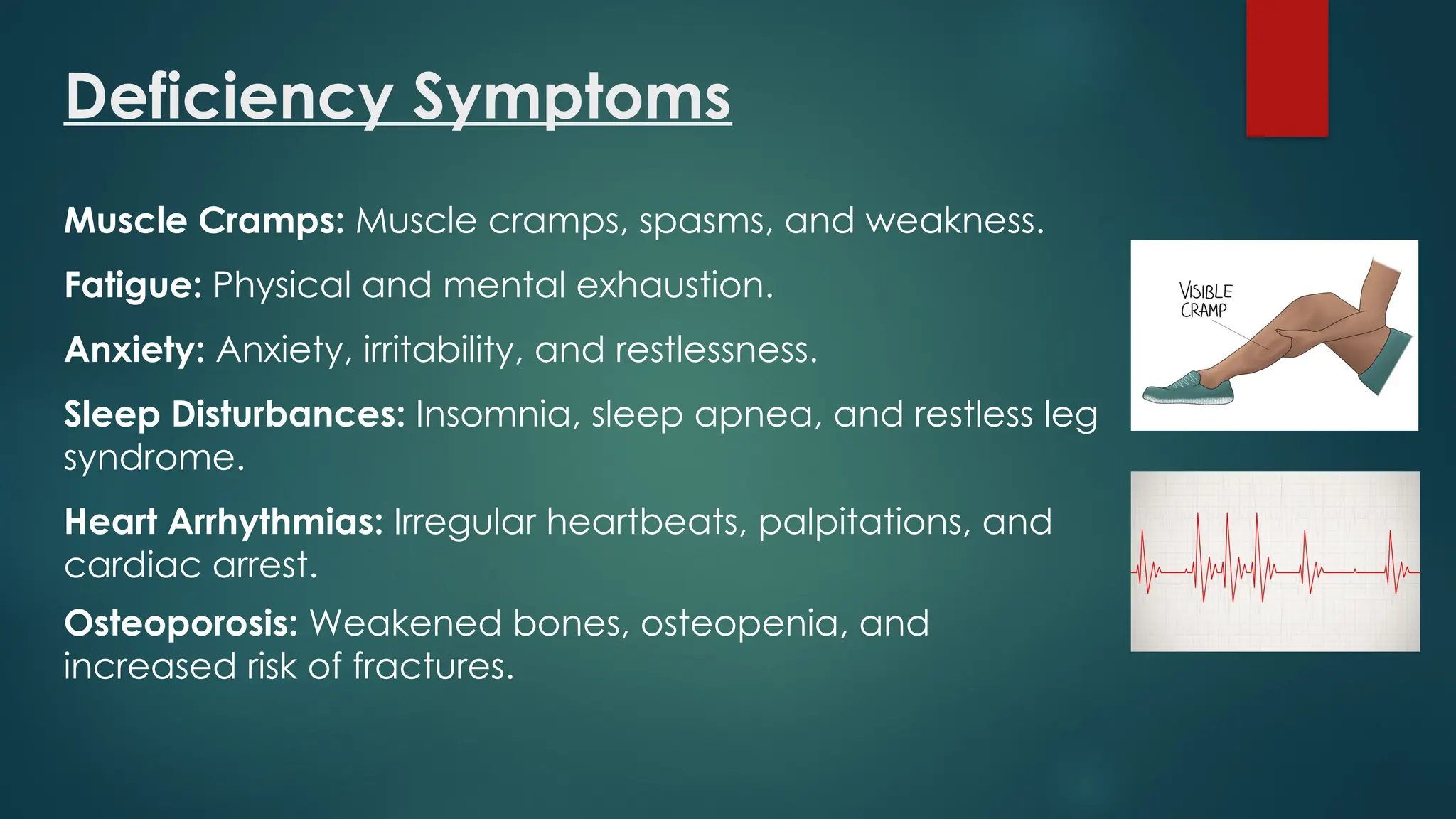 Magnesium | Sources | Functions | Deficiency Symptoms | PPTX