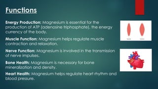 Magnesium | Sources | Functions | Deficiency Symptoms | PPTX