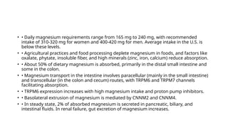 Magnesium.pptxby hussein sadeq plus hussein ali | PPTX