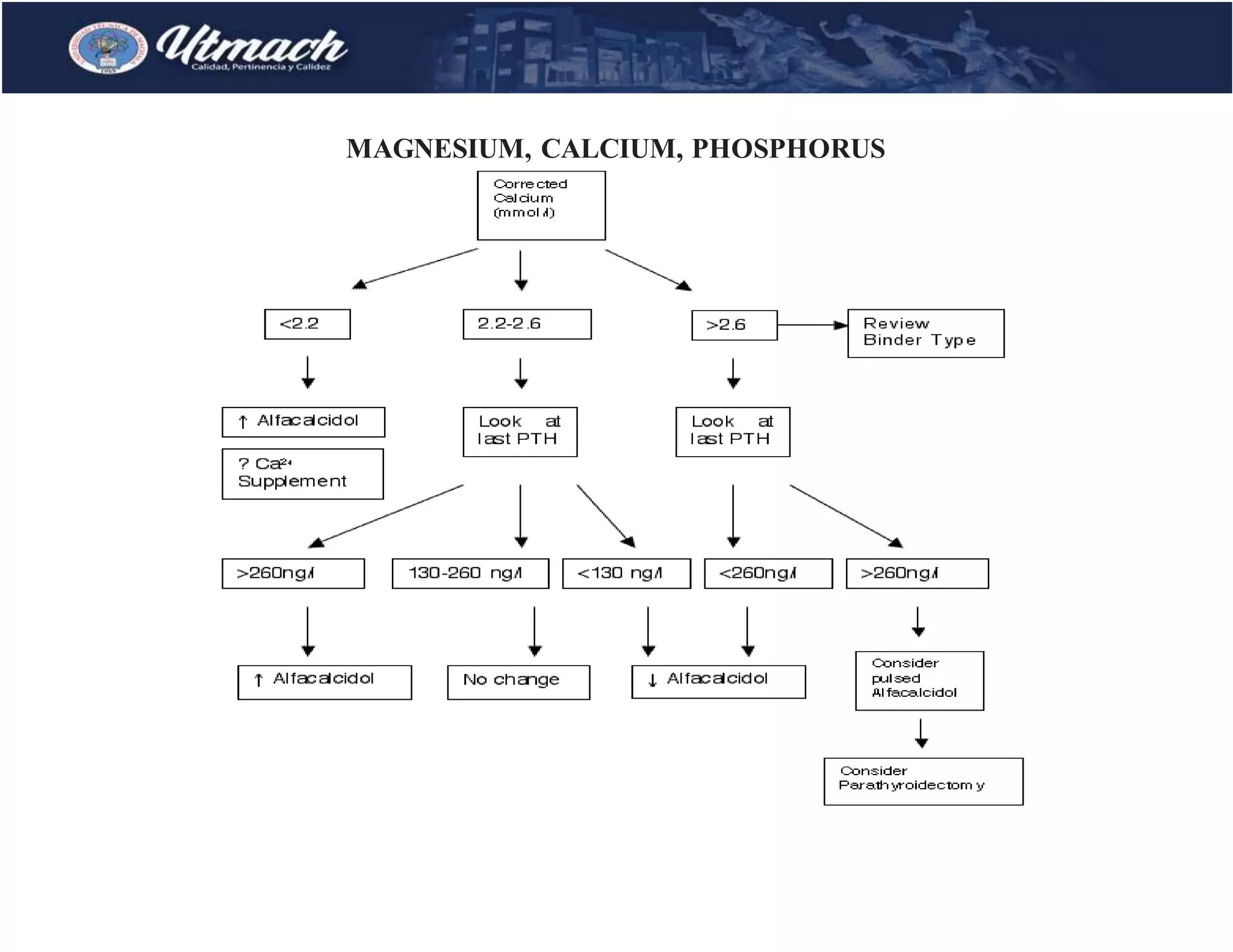Magnesium, calcium, phosphorus algorithm | PPT