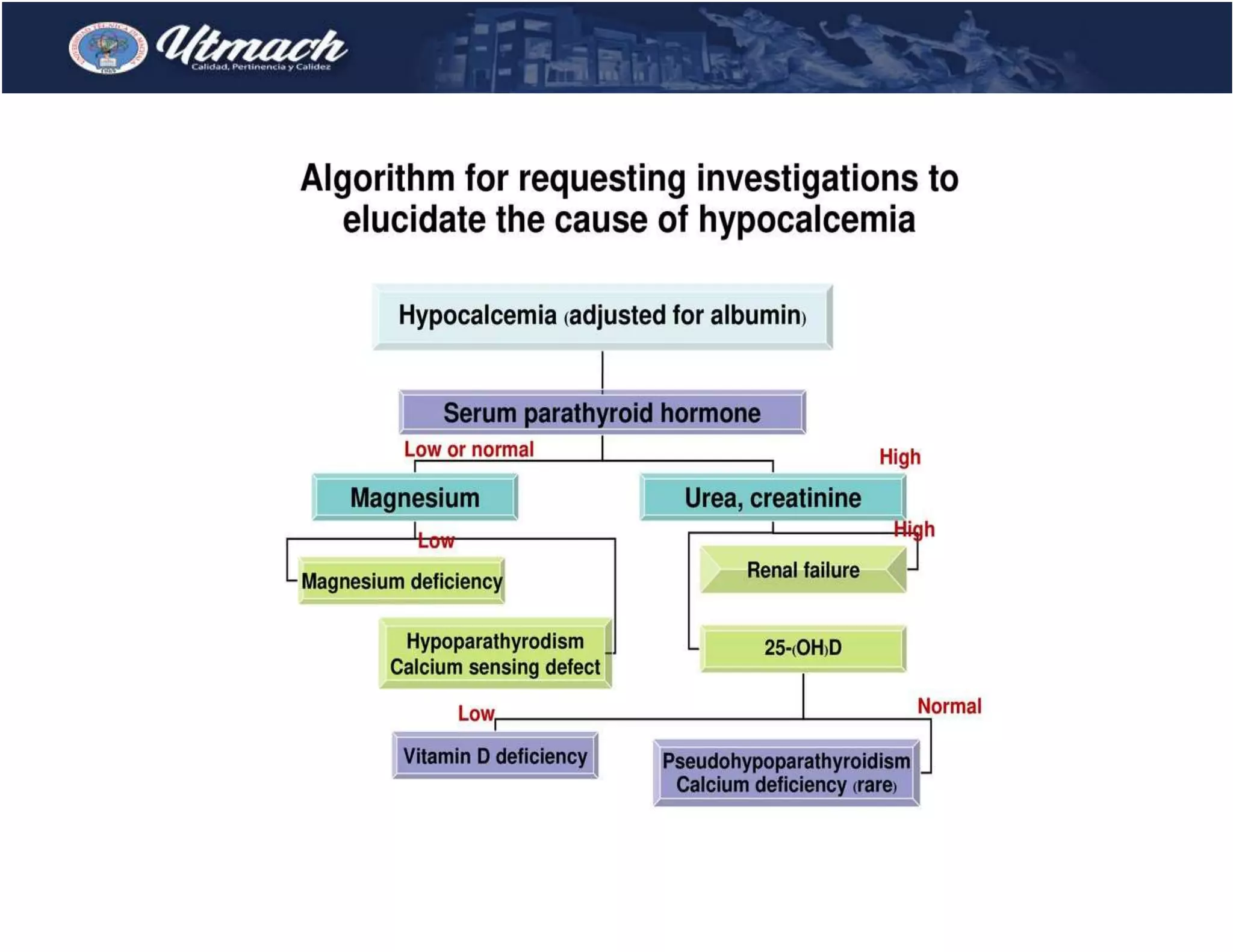 Magnesium, calcium, phosphorus algorithm | PPT