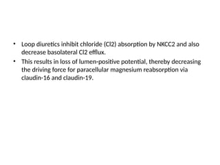 Magnesium metabolism-1.pptx nephrologist perspective | PPTX